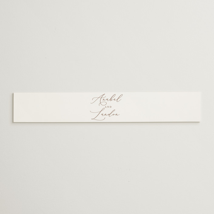 Luxe script Belly Bands by Hooray Creative | Minted