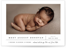 Stacey Meacham's Store | Minted