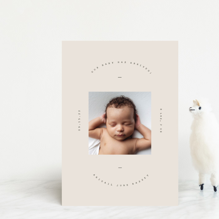 snowe Birth Announcement Postcards by Sara Hicks Malone | Minted