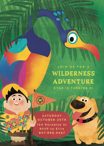 Disney and Pixar's Up Wilderness Adventure Children's Birthday Party ...