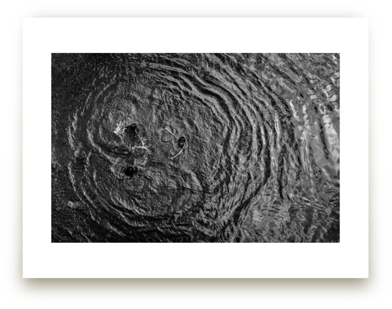 Hello Sophie Design Lab's Store | Minted