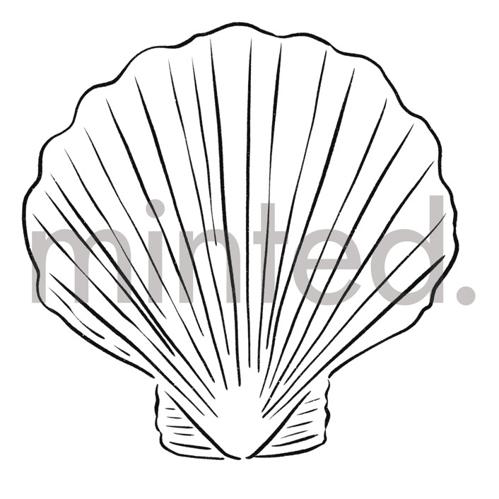 Seashell (add-on) Design Element by Shiny Penny Studio | Minted