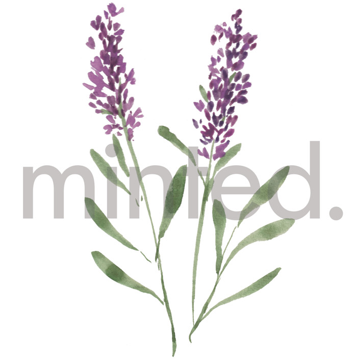Lavender Sprig Design Element by Itsy Belle Studio | Minted