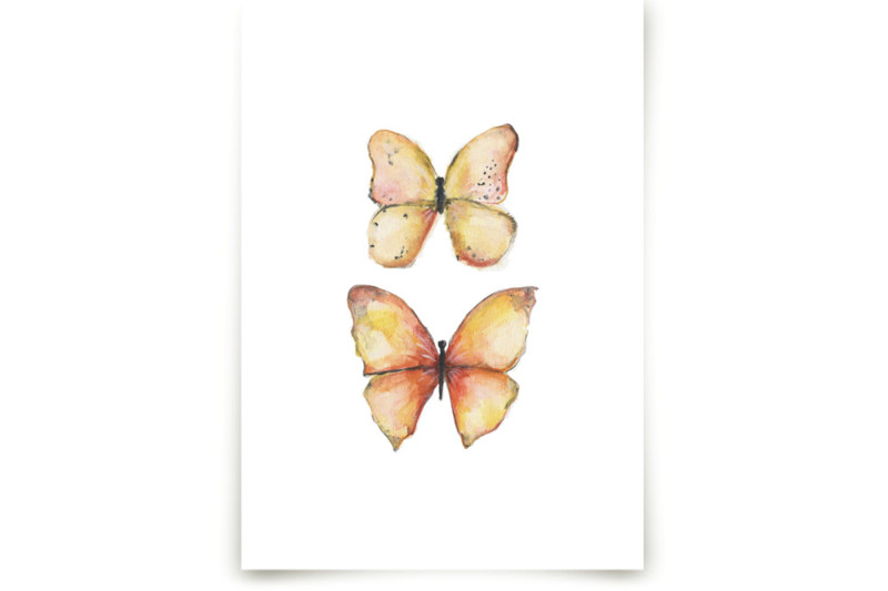 Rhopalocera One Fine Art Prints by Erin Deegan | Minted