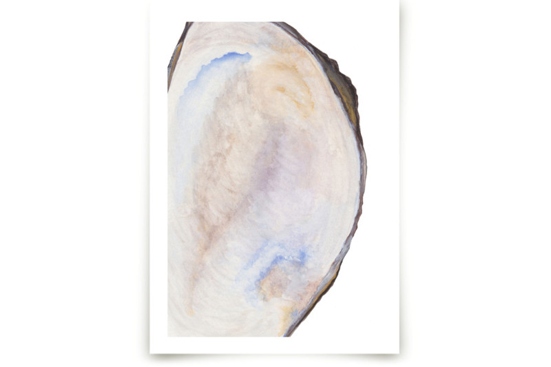The Half Shell Fine Art Prints by Kaydi Bishop | Minted
