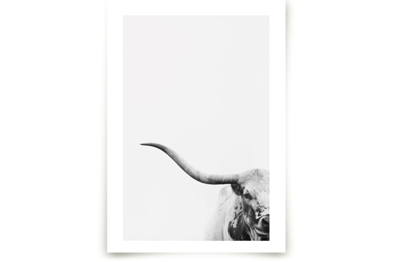Brandir Fine Art Prints by Amy Carroll | Minted