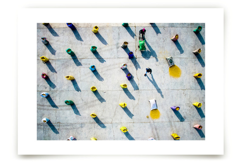 Palay Fine Art Prints by Hello Sophie Design Lab | Minted