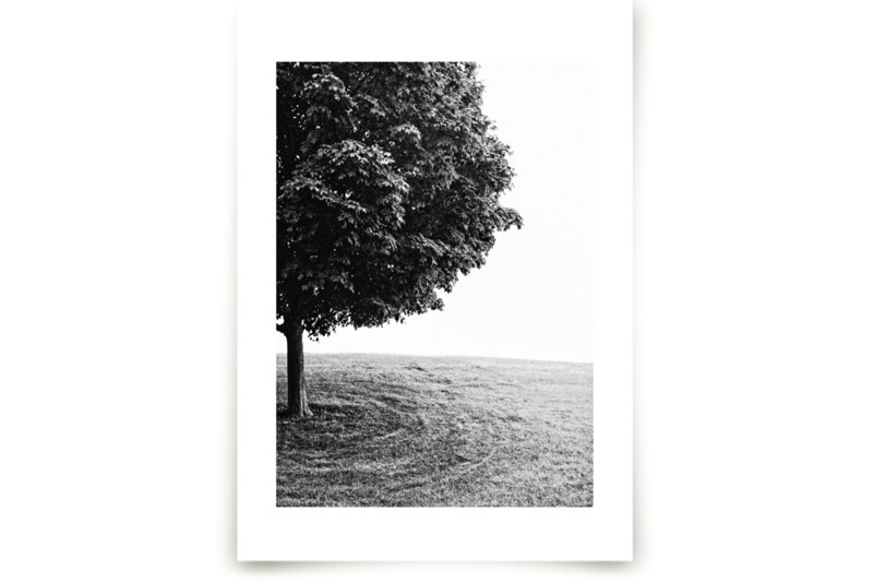 Tree on the Hill Fine Art Prints by Eric Ransom | Minted