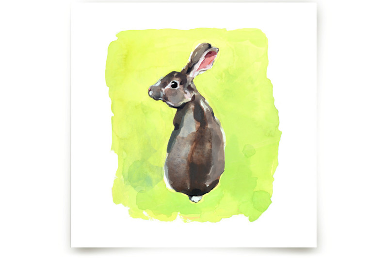 Wild Rabbit Fine Art Prints by Betty Hatchett | Minted