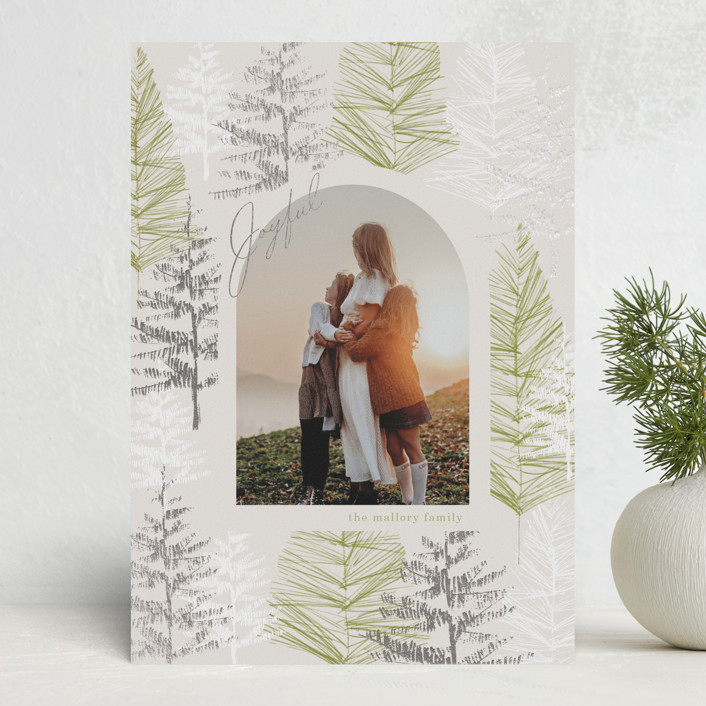 Delicate Trees Foil-Pressed Holiday Cards by Baumbirdy | Minted