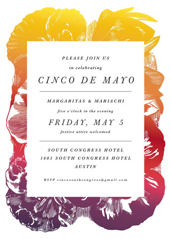 Cinco De Mayo Holiday Party Invitations by Christie Kelly | Minted
