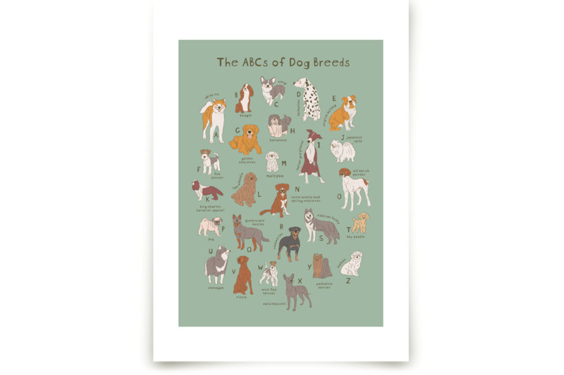 ABCs of Dog Breeds Children's Art Prints by Vera Lim | Minted