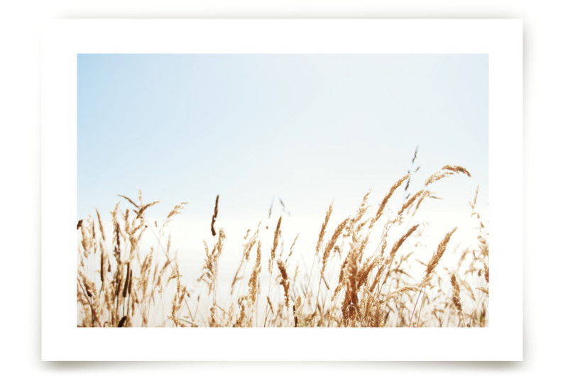 Windswept View Children's Art Prints by Morgan Kendall | Minted