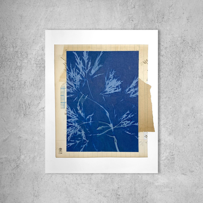 Cyanotype Collage #2 Original Mixed Media by Field and Sky | Minted