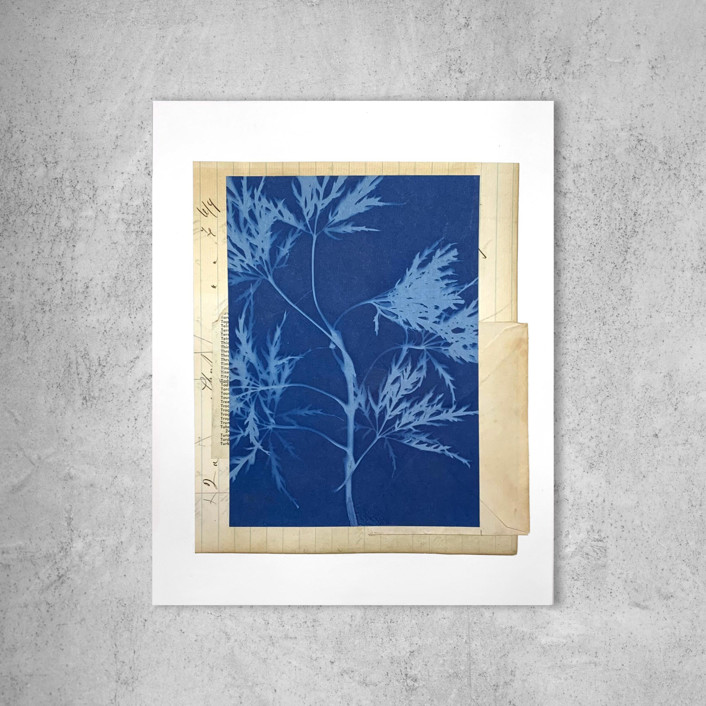 Cyanotype Collage #1 Original Mixed Media by Field and Sky | Minted