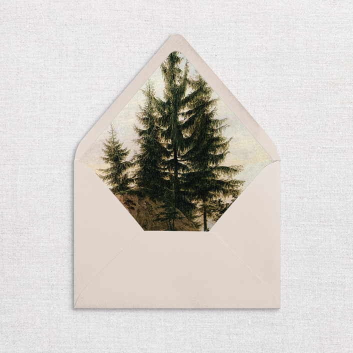 Tree Envelope Liners, Nature, Pack of 25 Envelope Liners by Studio ...