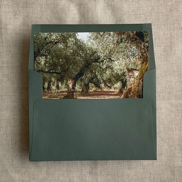 Olive tree grove fine art landscape printed liner for A7 square flap ...