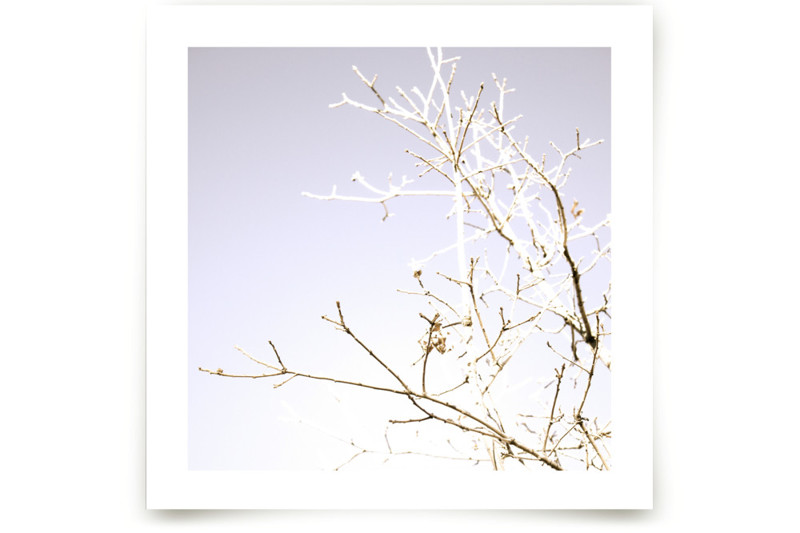 Winter Bask! Fine Art Prints by Design Lotus | Minted