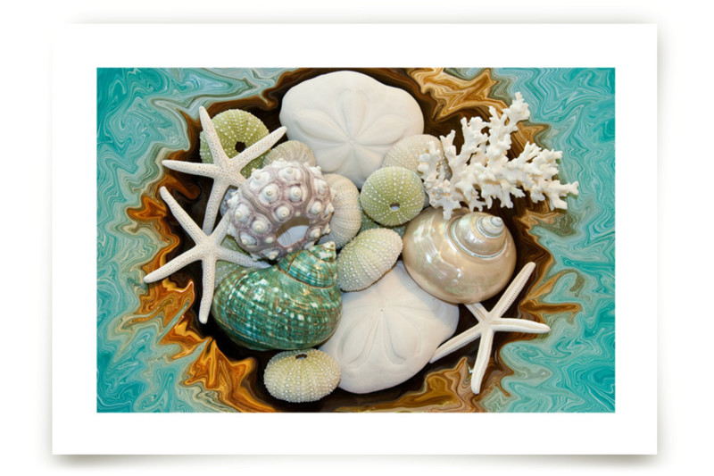 Sea Shell Swirls Fine Art Prints by Debra Butler | Minted