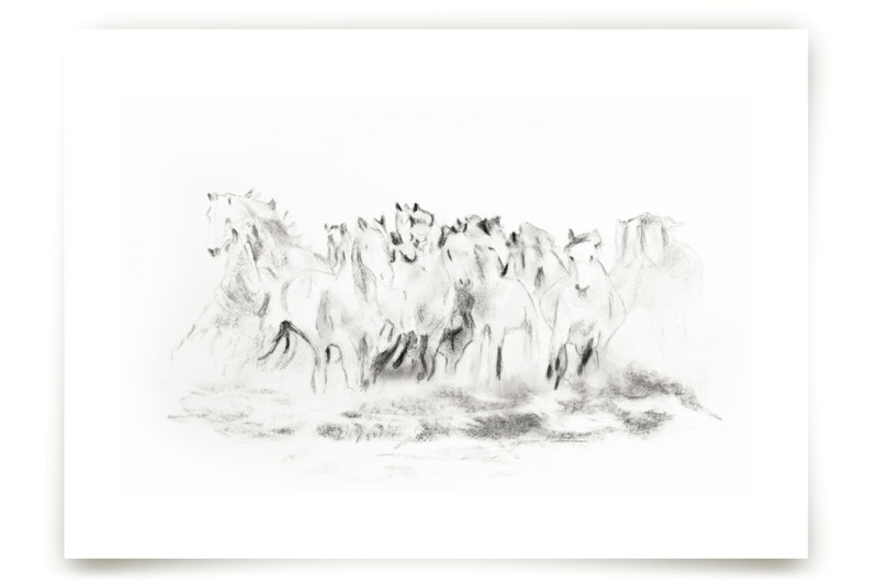 Stampede Fine Art Prints by Ramnik Velji | Minted