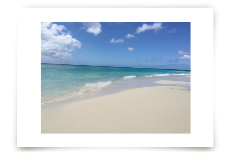 Thee Big Blue Splash Fine Art Prints by Carole Crohan ...