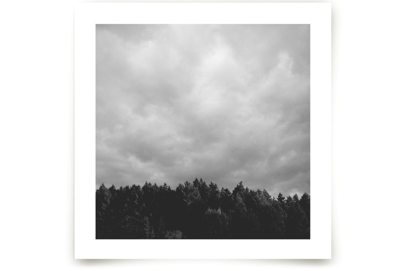 Treeline Fine Art Prints by Five Sparrows | Minted