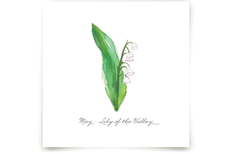May Lily of the Valley Fine Art Prints by Liz Conley | Minted