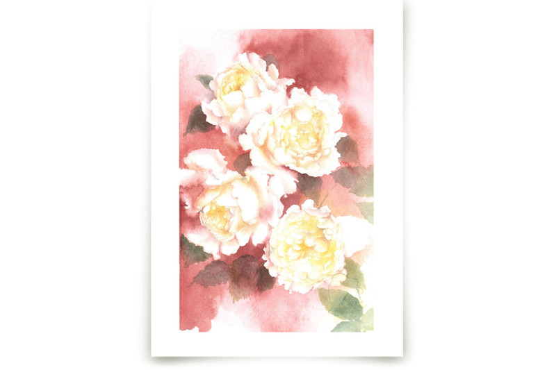 White David Austin Roses Fine Art Prints by XL | Minted