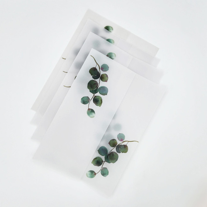 Eucalyptus Vellum Jackets (Set of 10) Invitation Jackets and Overlays ...