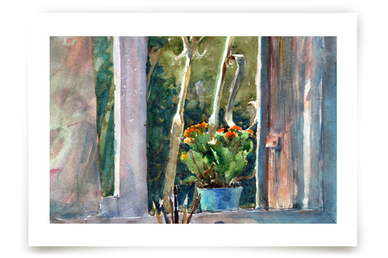 Window sill flowers Fine Art Prints by Rafael Yaniger | Minted