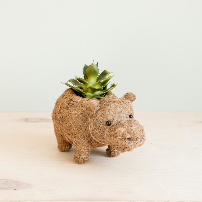Baby Hippo Planter Planters by LIKHA | Minted