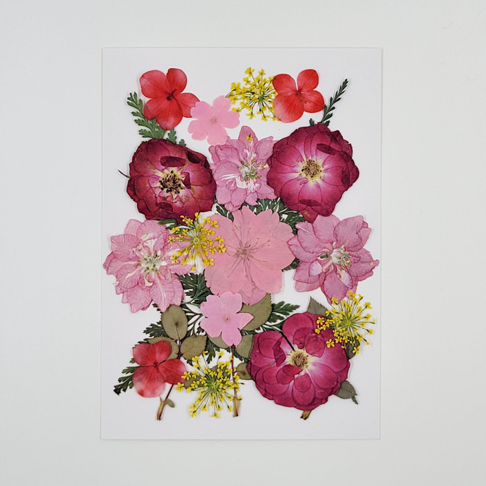 Pressed Flowers | " Sweet Heart" | Multicolor | 23 pcs Dried Florals by ...