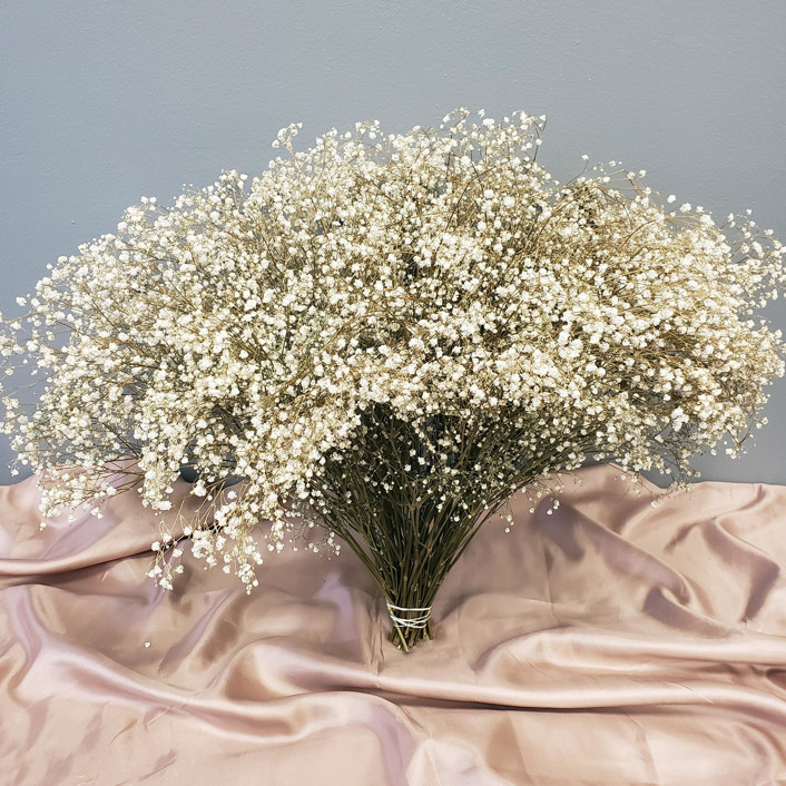 Preserved Baby's Breath Flowers | 50stems (Bulk Bundle) | Off-White ...