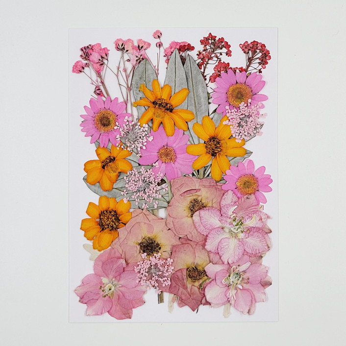 Pressed Flowers | "Blushing Love" | Pink&Orange | 30pcs Dried or faux ...