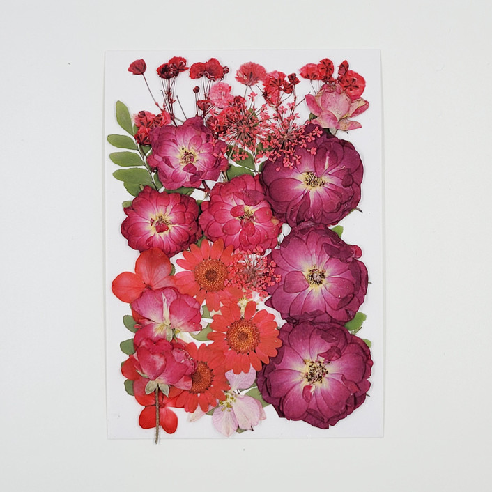 Pressed Flowers | "Fancy Red" | Red | 29 pcs Dried Florals by Aviana Xu ...