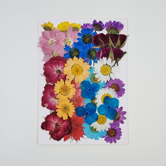 Pressed Flowers | " Scented Dream" | Multicolor | 36 pcs Dried Florals ...