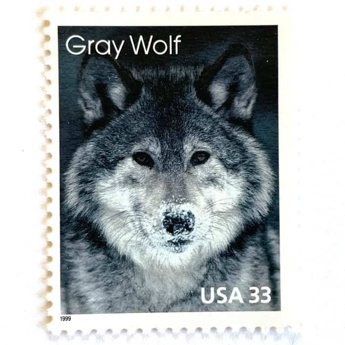 Gray Wolf Postage Stamps | Arctic Animals Series | Christmas & Wedding ...
