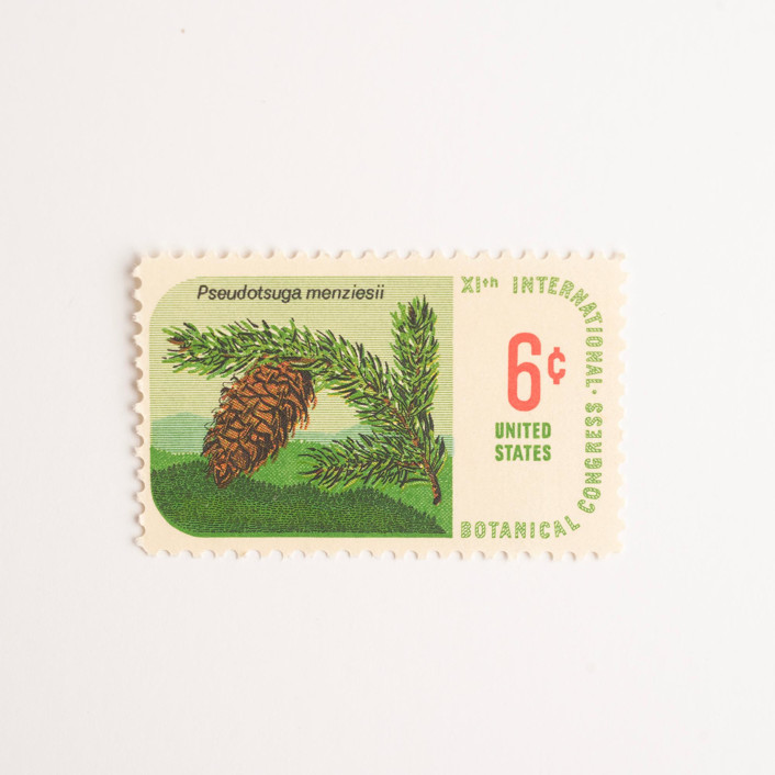 6 Cent Botanical Congress, Douglas Fir Postage Stamps // Set of 10 ...
