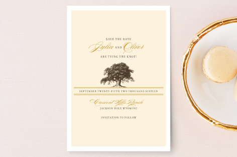 Oak Tree Save The Date Postcards by Annie Clark | Minted