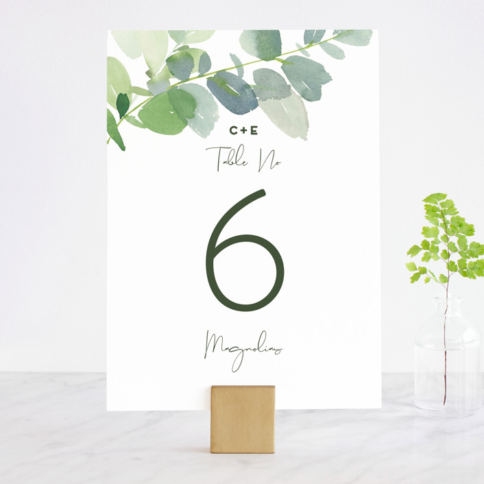 Soft Eucalyptus Table Numbers by Yao Cheng Design | Minted